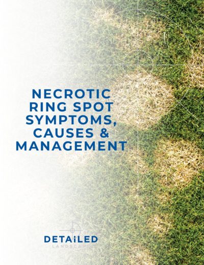 Resources – Detailed Landscape